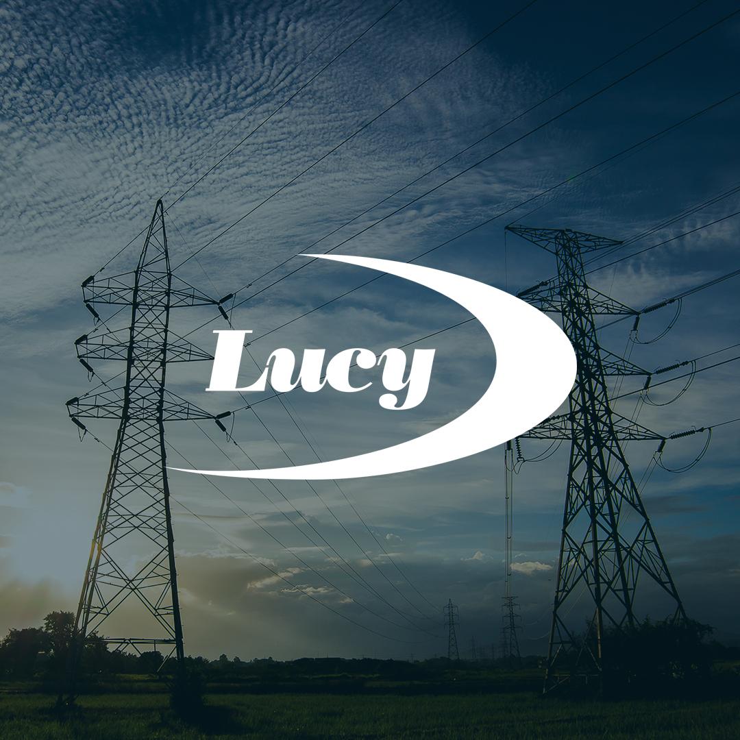 Lucy Group - Successful Implementation of Oracle HCM Cloud - Version 1