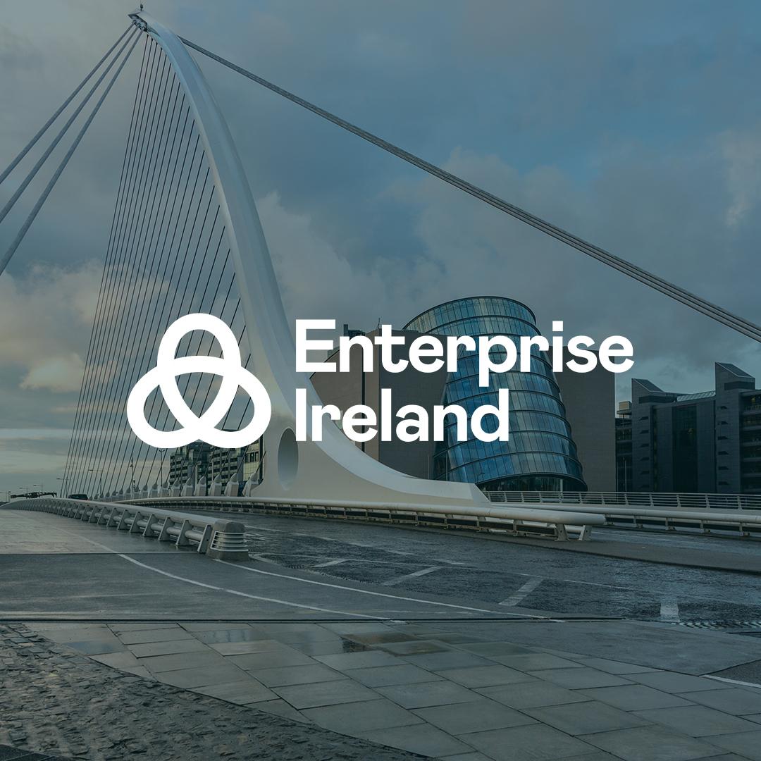 Reimagining Enterprise Ireland’s Financial Systems Through Cloud ...
