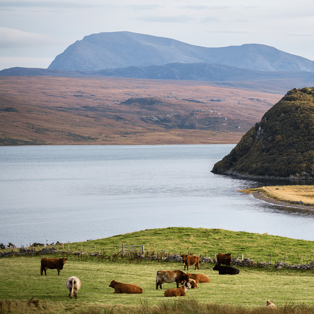 Scottish Agriculture and Rural Economy (ARE) directorate selects ...